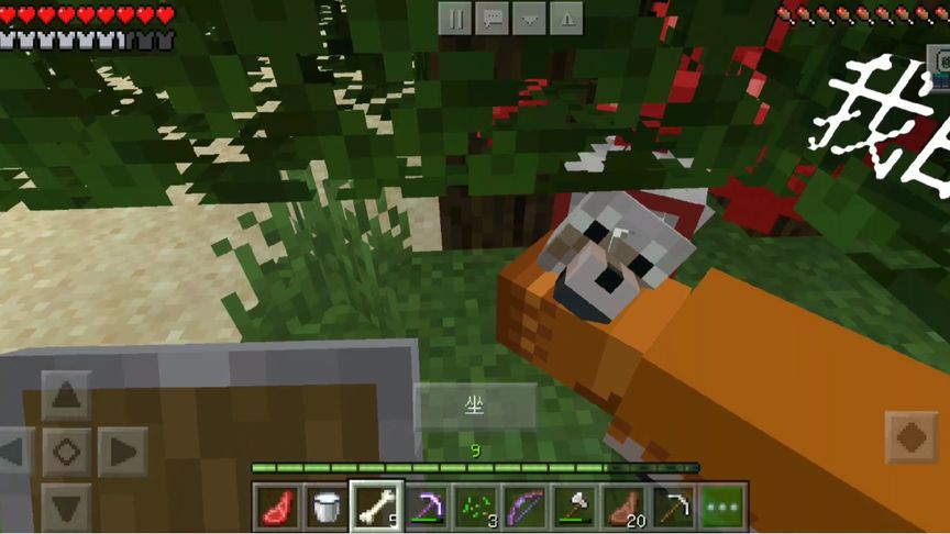 我的世界:寻找矿洞路上遇到新伙伴