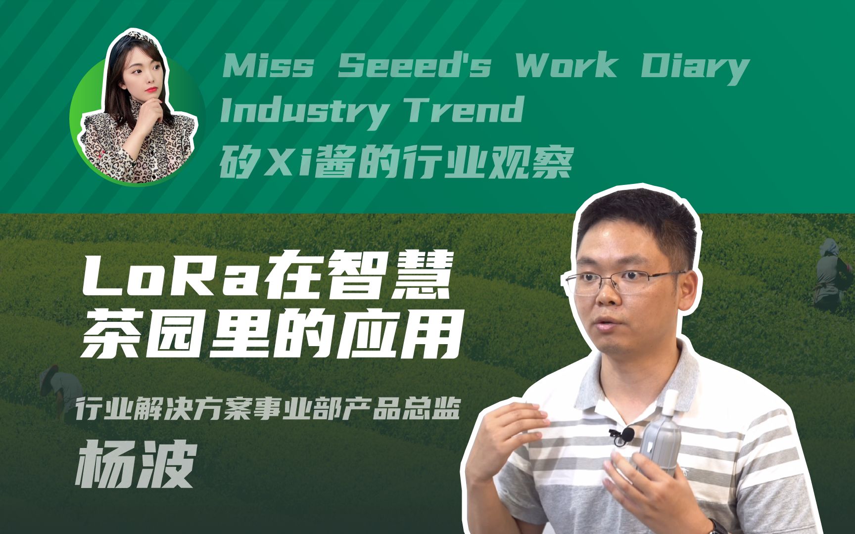 矽Xi酱的行业观察:LoRa在智慧茶园里的应用