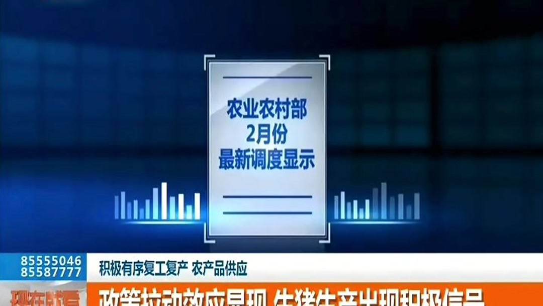 政策拉动效应显现 生猪生产出现积极信号