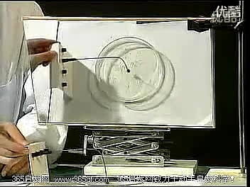 102用锯木屑观察电场线新课标高中物理教学实验大全