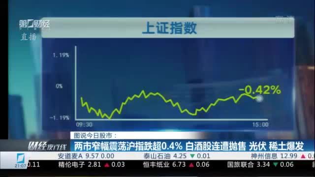 两市窄幅震荡沪指跌超0.4% 白酒股连遭抛售 光伏 稀土爆发
