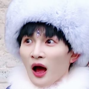 毛茸茸的小登西 