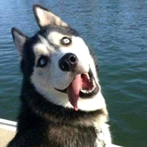 天黑不要带草帽 