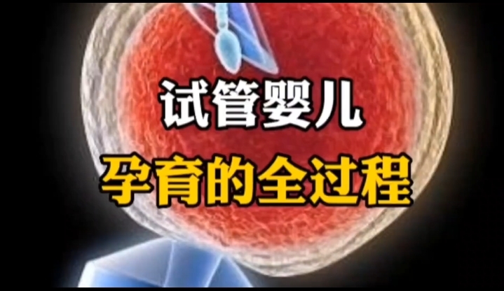 揭秘试管婴儿是怎么诞生的