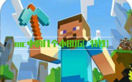 mc中的几个BUG(特性)make65著