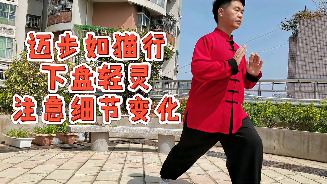 练太极拳还不会走猫步?看完视频就明白拳友怎么做