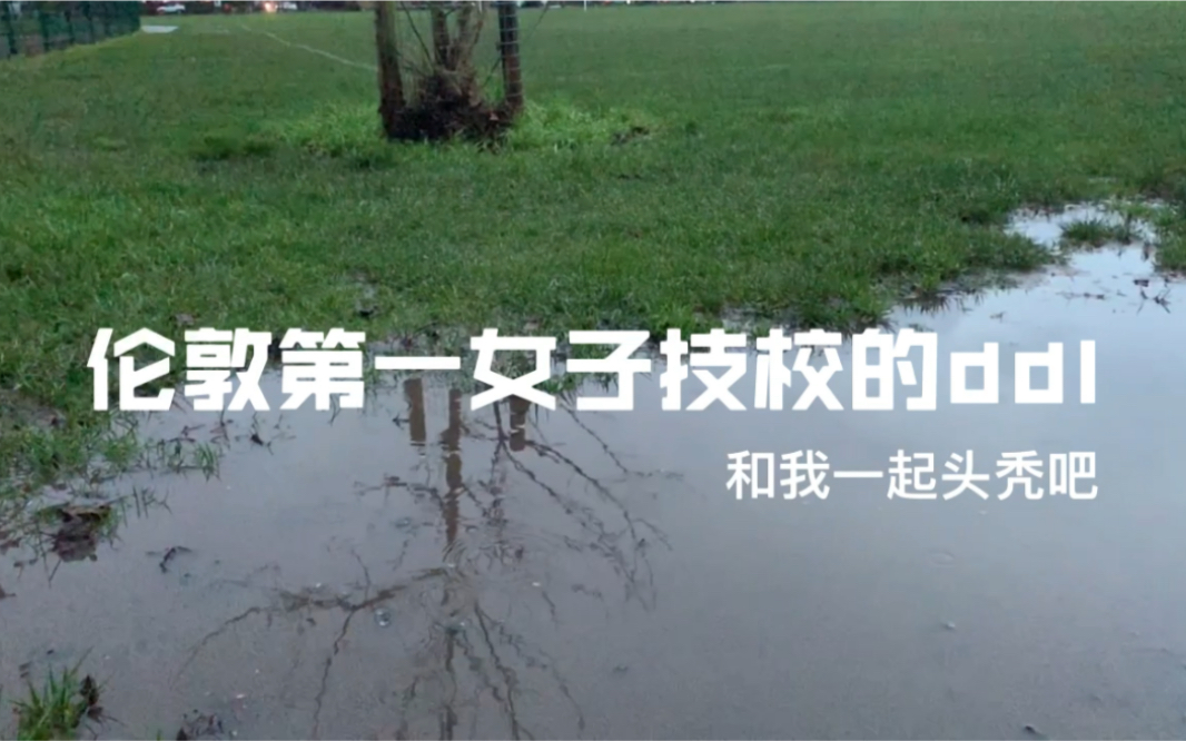 NnVlog-咕咕精的二月份开箱-伦敦第一女子技校的ddl是什么样的呢