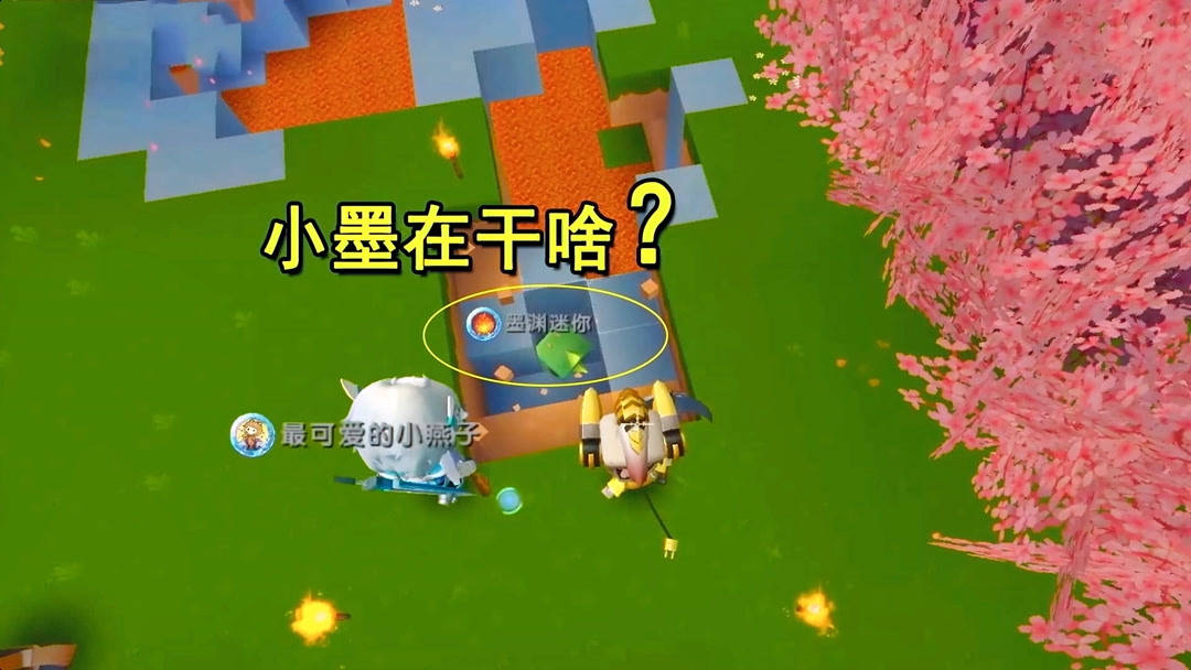 荒岛求生第二季15:小墨正在闭关修炼,被小燕子一锤出关