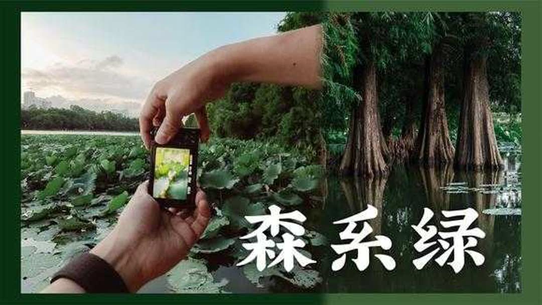 【第一视角】普通公园如何拍出高级质感?附调色教程