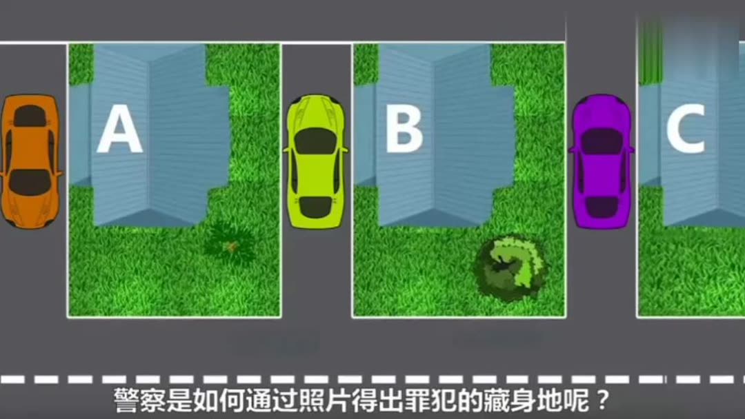 警察是如何通过照片得出罪犯的藏身地呢?