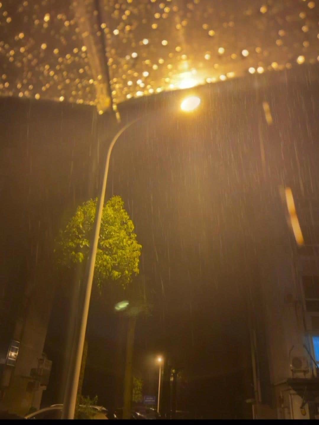 讨厌冷暴力的是我喜欢冷暴力的也是我