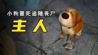 主人变成了丧尸,狗狗依旧不离不弃 《丧尸狗》