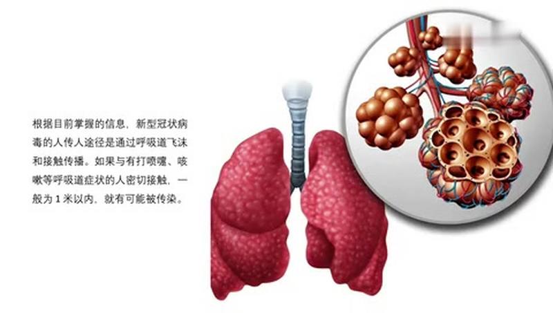 02 最新!世界卫生组织发布的口罩使用指南来了!