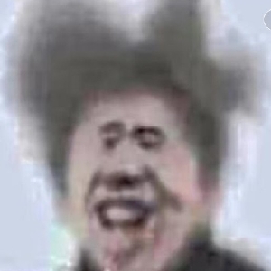 文障Zebra 
