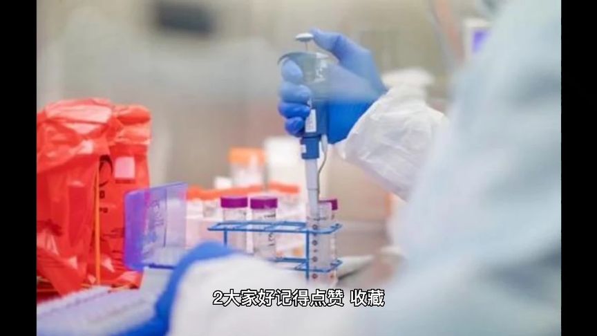 1、被动扩散:2、主动转运系统:①依赖于周浆间隙结合蛋白的转运