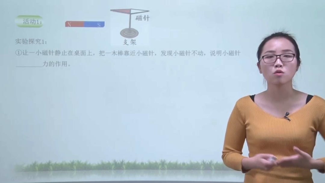 1.1.3磁场和磁感线