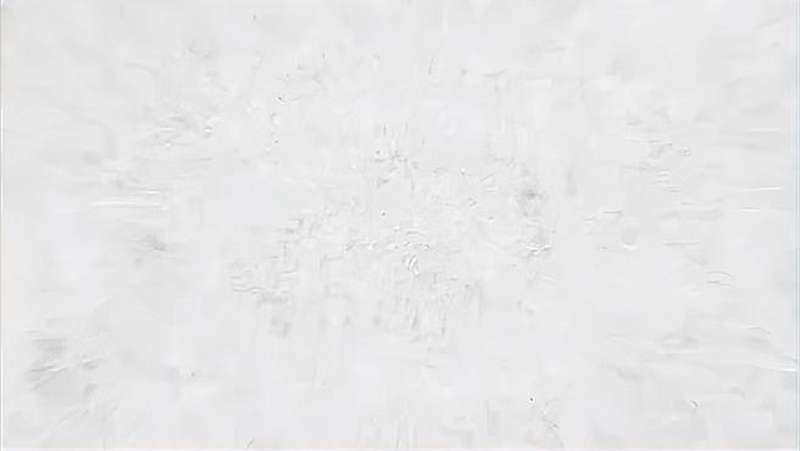 去上海现场观看F1,是一种什么样的体验?