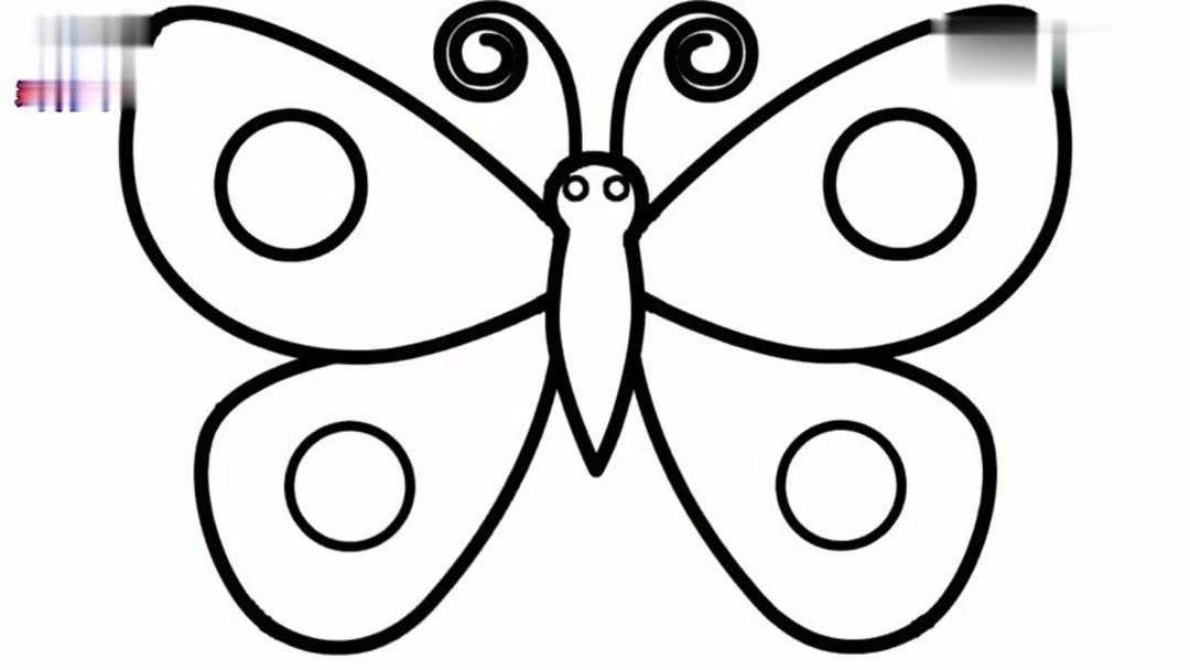 幼儿绘画会飞的动物猜猜它是什么简笔画视频