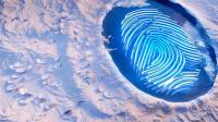 分钟科学 人类诞生之初有指纹吗?指纹的作用是什么?