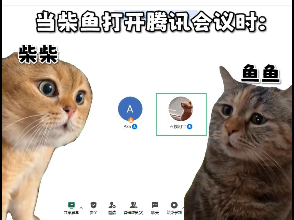 当柴鱼打开腾讯会议时
