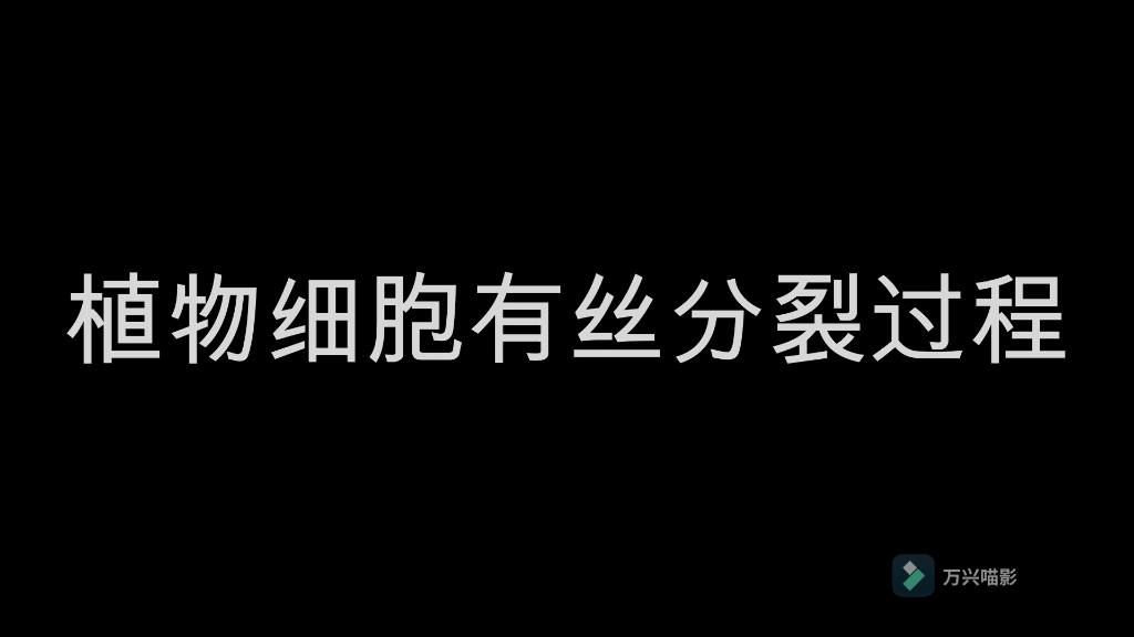 一分钟带你巩固生物必修一细胞增殖