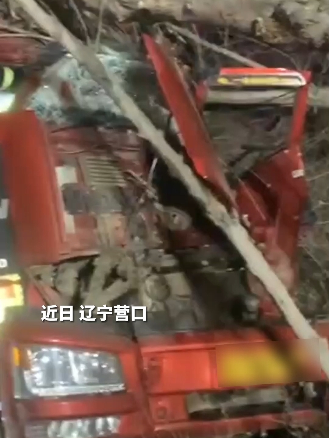 凌晨大货车撞树,司机左腿被卡伤势严重