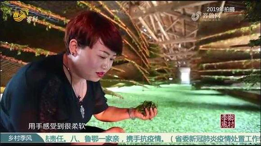 5道工序环环相扣!走进云南,带你了解滇红茶的制作方法|乡村季风