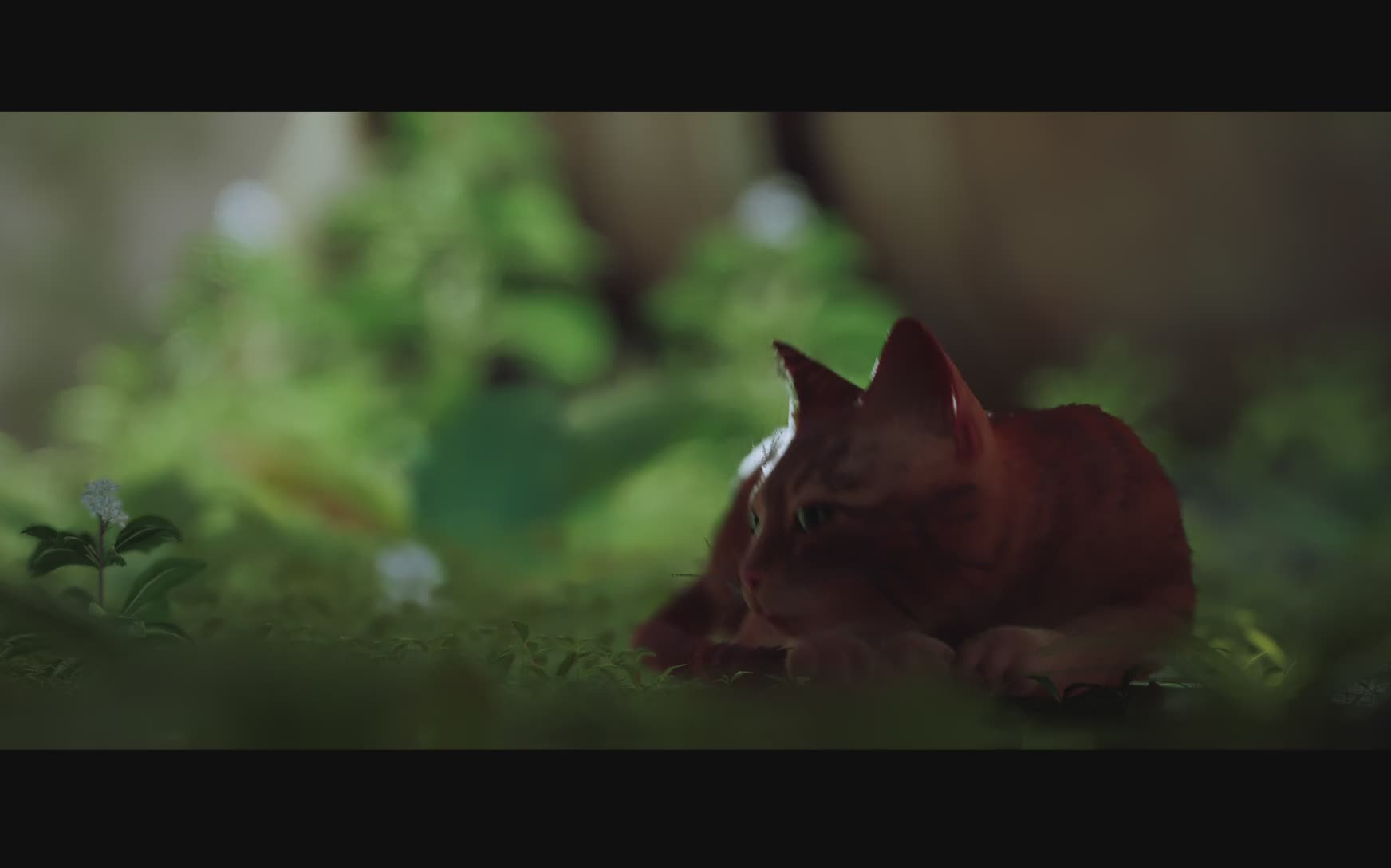 【Stray/迷失】赛博朋克,但是猫猫模拟器(无解说实况)