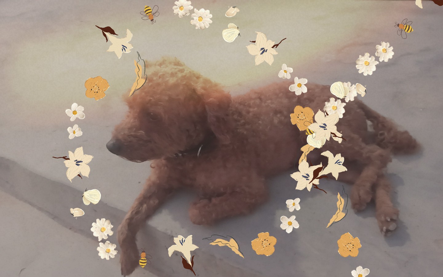 迷你缝纫机使用感受