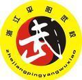 平阳武校表演班 