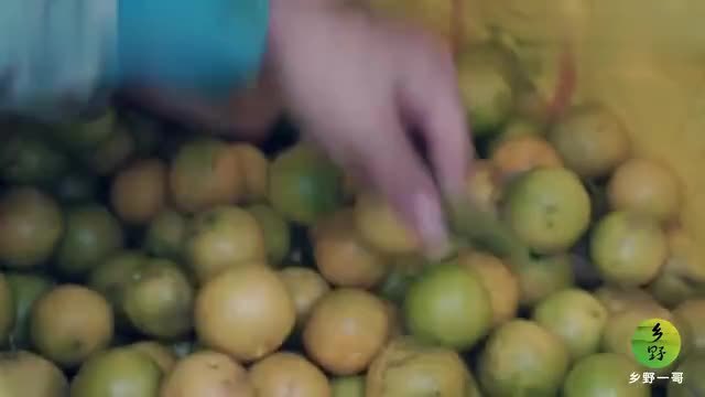 农村小哥摘回新鲜柠檬,洗净切片晒干,泡水好喝