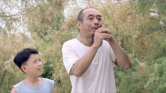 《百鸟朝凤》:天鸣鸟叫学得太像了,师傅都听不出来了