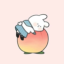 风华绝代的博尔哈拉莫尔 