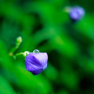 河北百纳宽地文化传媒有限公司 