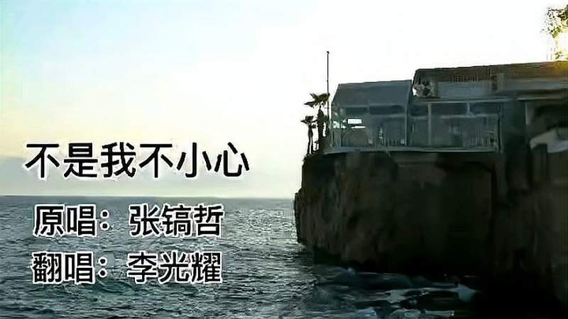 一首张镐哲老师的经典歌曲《不是我不小心》