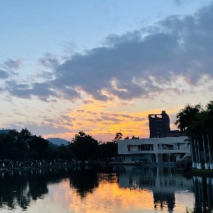 Yesir水里没有鱼 