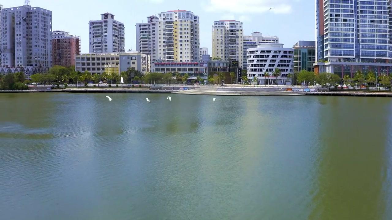 创建森林城市守护碧海蓝天