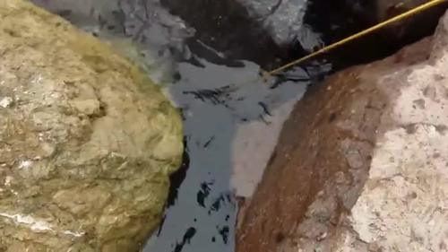 小伙子把鱼竿直接插入水中,钓一种肉肉的鱼,这个是什么钓法?