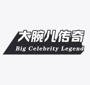 大腕儿传奇 