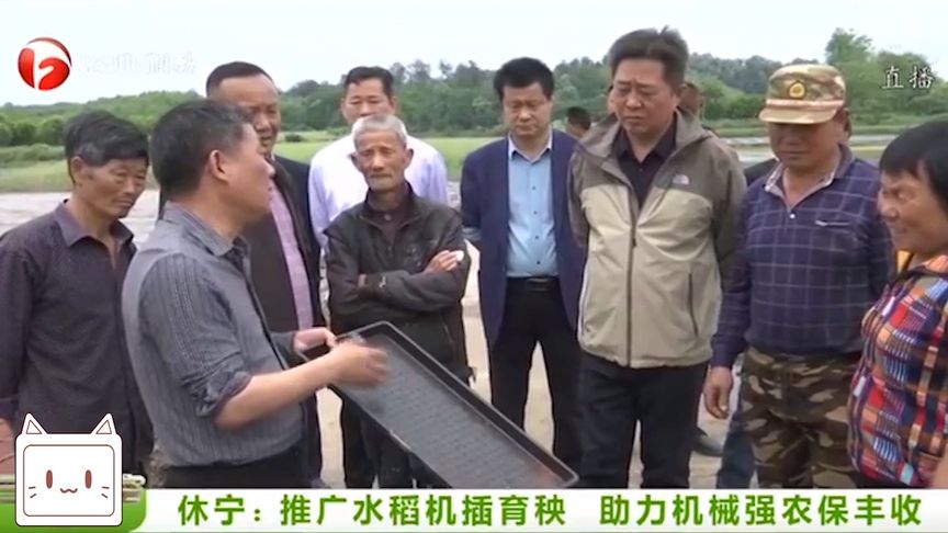 机械强农,典口村大力推广水稻机播种育秧,保障粮食稳产增收