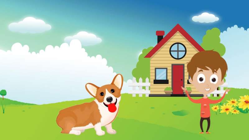 男孩被狗咬伤13天后去世,离第四针疫苗差两天