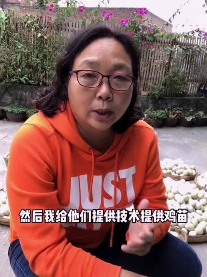 给农户提供技术鸡苗按照我的纯粮食养殖标准每个鸡蛋高出市场价回收.