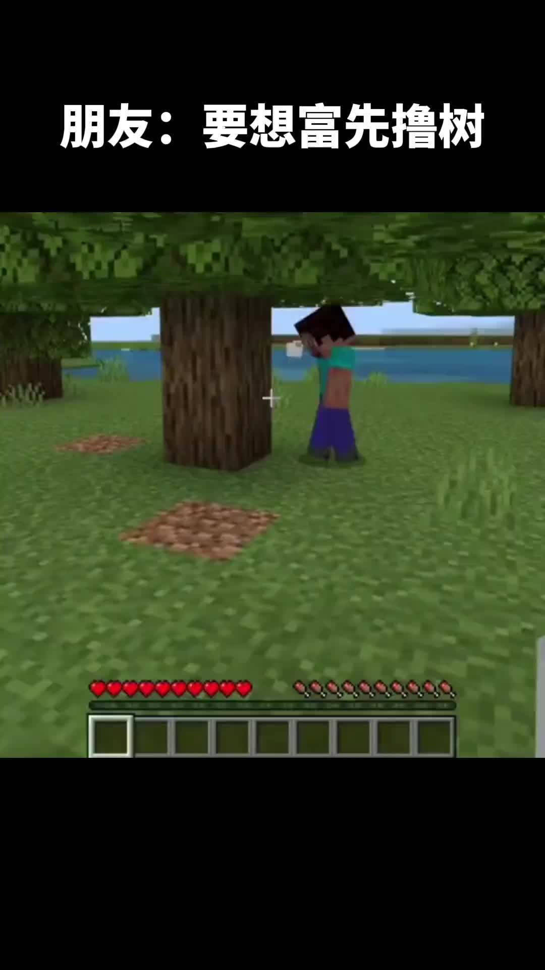 我的世界想富就种树