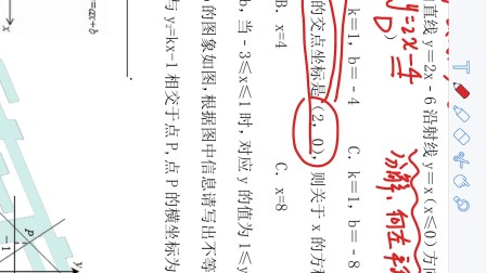 初二(下)一次函数第五讲