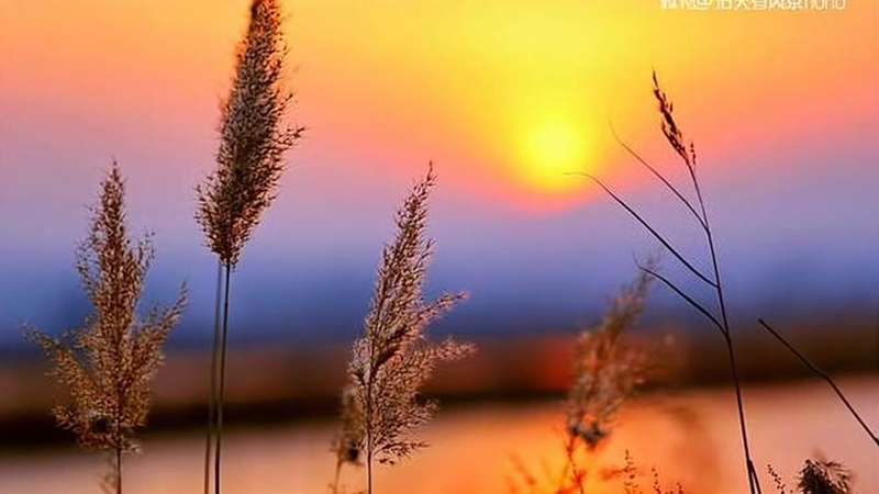 #中视频伙伴计划 唐诗三百首解说与朗诵:68.《从军行七首》王昌龄(其...