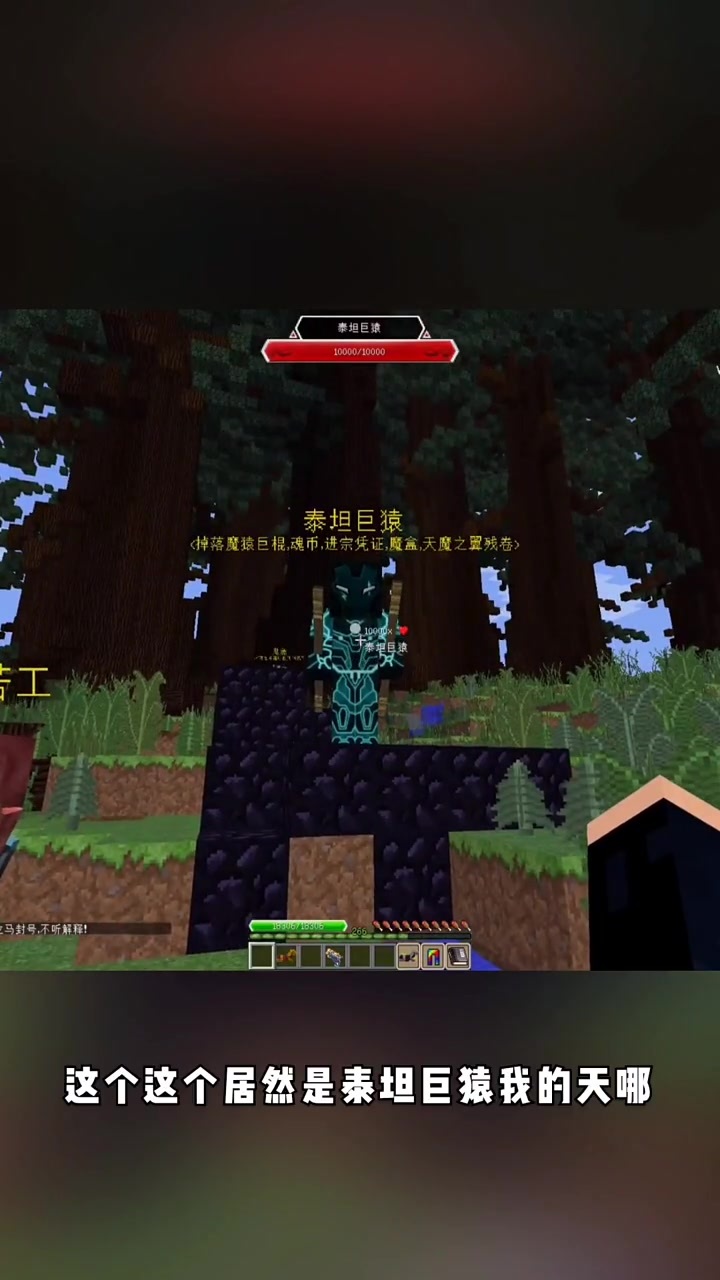 新斗罗大陆生存第一期,你们觉得两个服务器哪一个好玩呢?