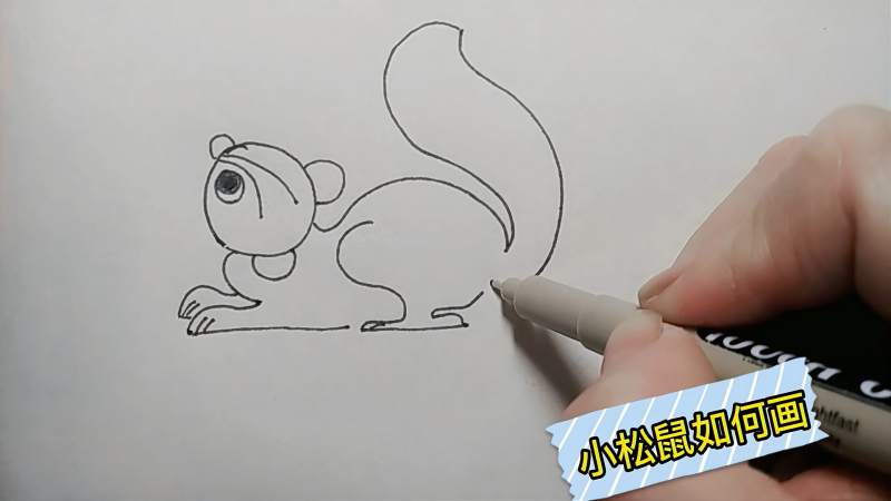 手绘简笔画:简单几笔画出一只可爱的小松鼠