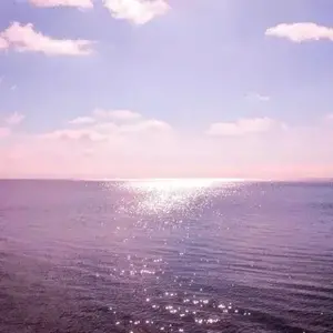 红泡泡绿水水 