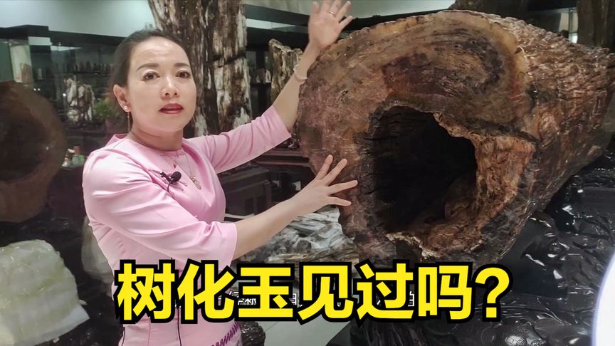 树化玉见过吗?比人还要高的树化玉直接摆门口,为啥没人敢来偷?