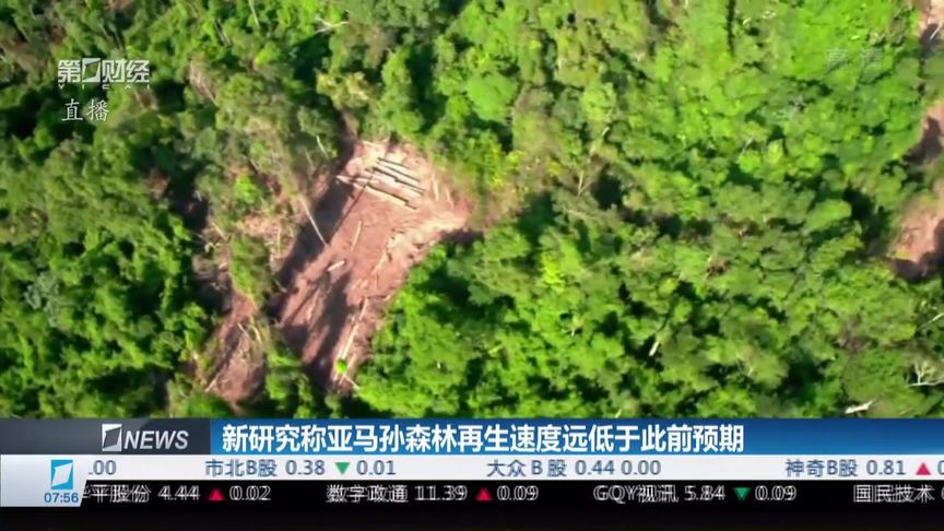 过度砍伐酿悲剧!新研究表示,亚马孙森林再生速度远低于此前预期